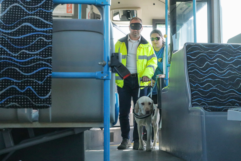 We covered the eyes of bus drivers – sensitization with guide dogs at ...