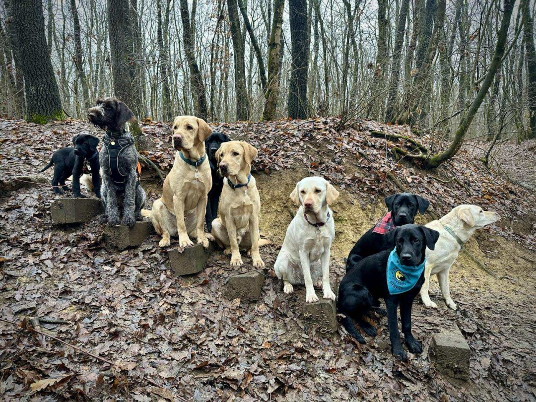 How “Marcsi-futi” Builds Community - Baráthegyi Guide Dog School